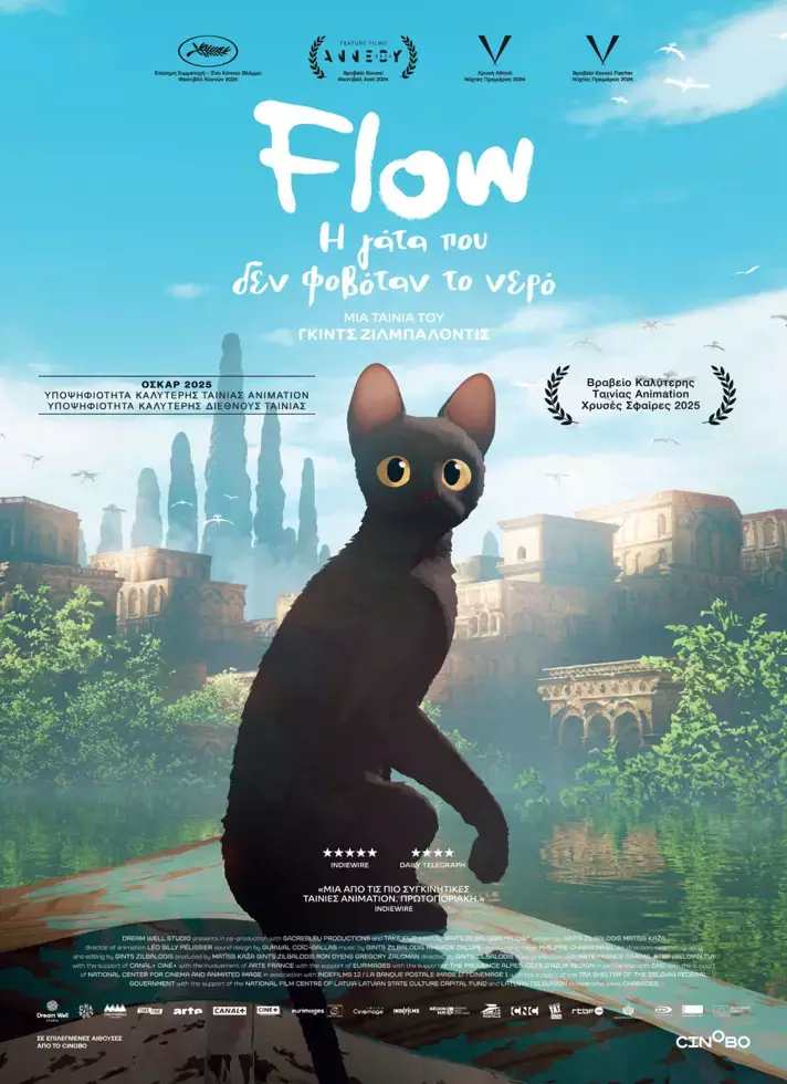 FLOW: Η ΓΑΤΑ ΠΟΥ ΔΕΝ ΦΟΒΟΤΑΝ ΤΟ ΝΕΡΟ » agrinionet.gr